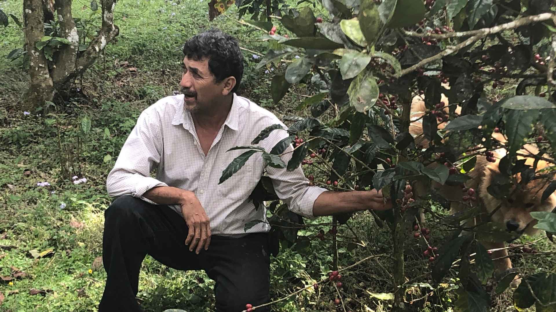 Supporting Biodiversity: A Key to Quality Coffee